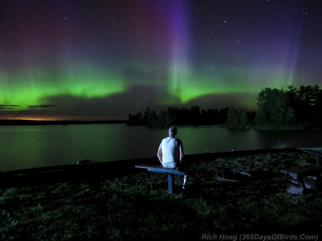 Day 217: Northern Lights Over Boulder Lake - 365 Days of Birds