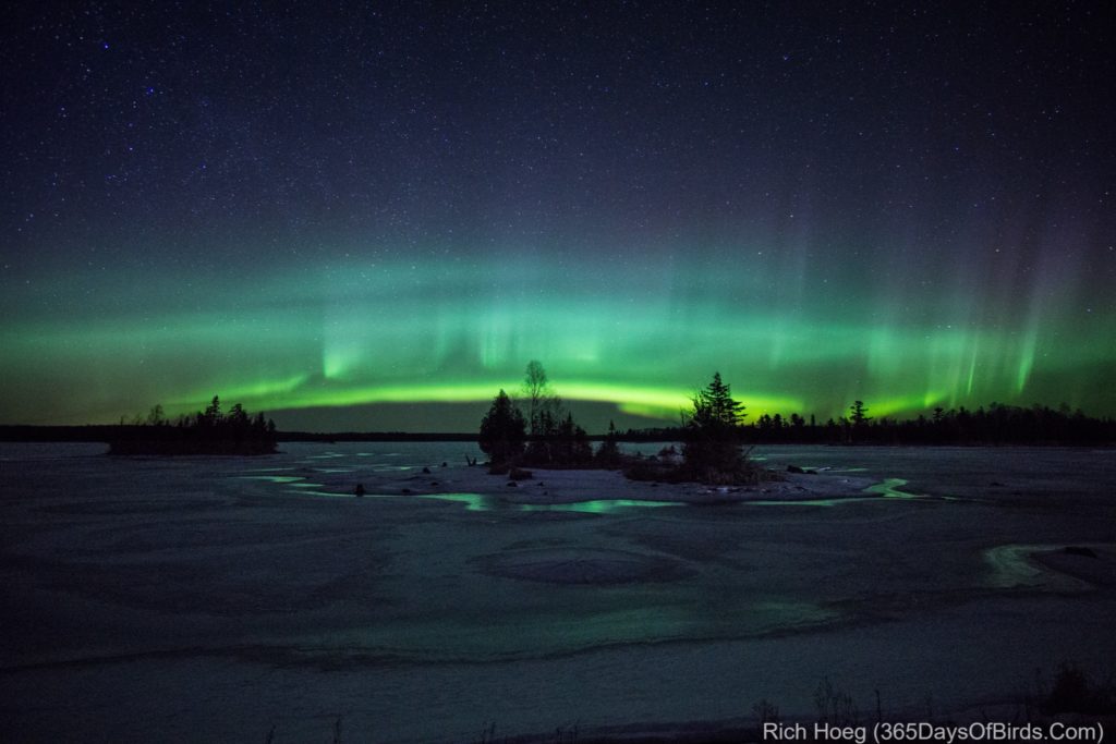 Photo Galley Northern Lights Boulder Lake | 365 Days of Birds