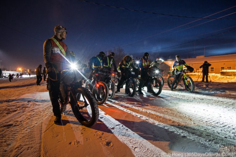 Arrowhead 135 Winter Ultra Marathon | 365 Days of Birds