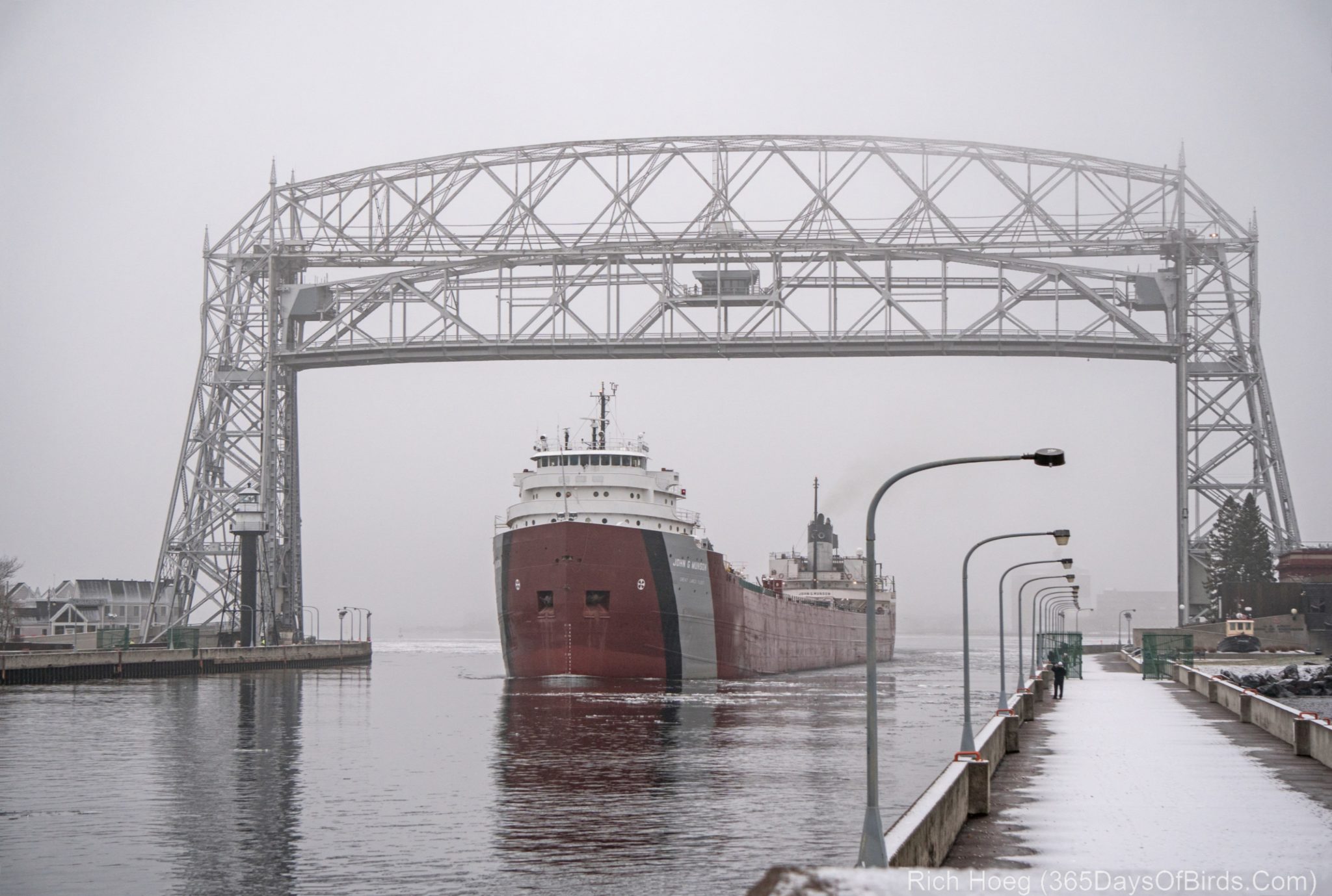 Inbound, Outbound, Fogbound … Duluth Shipping! | 365 Days of Birds