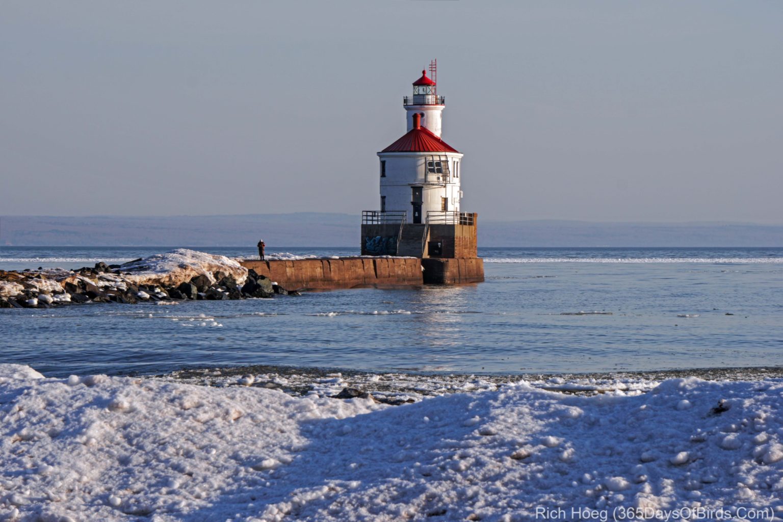 WI North: Superior Entry | 365 Days of Birds