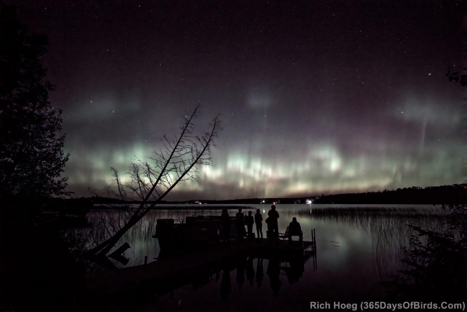 Minnesota Northern Lights Viewing and Photography | 365 Days of Birds