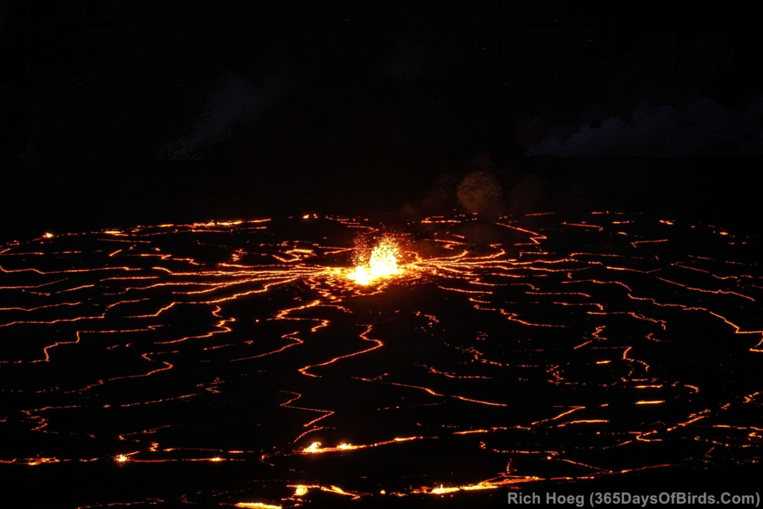 Hawaii Big Island Mount Kilauea Volcano Eruption | 365 Days of Birds