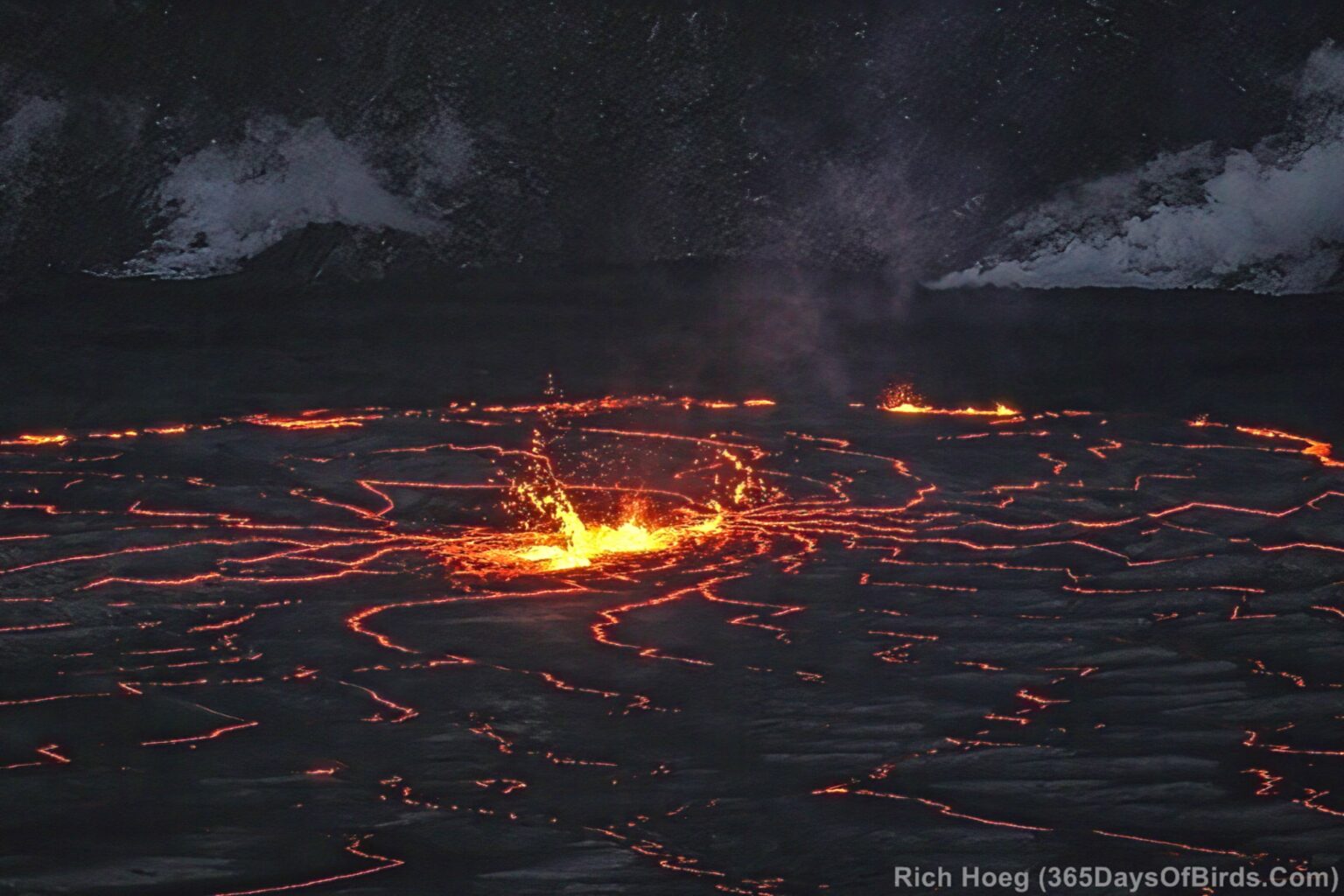 Hawaii Big Island Mount Kilauea Volcano Eruption | 365 Days of Birds