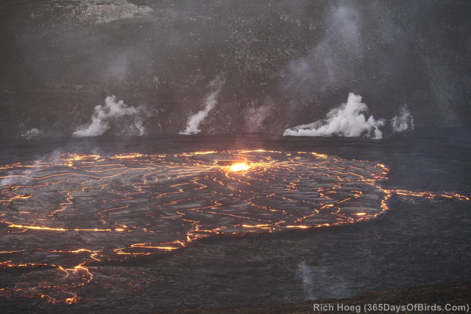 Hawaii Big Island Mount Kilauea Volcano Eruption | 365 Days of Birds