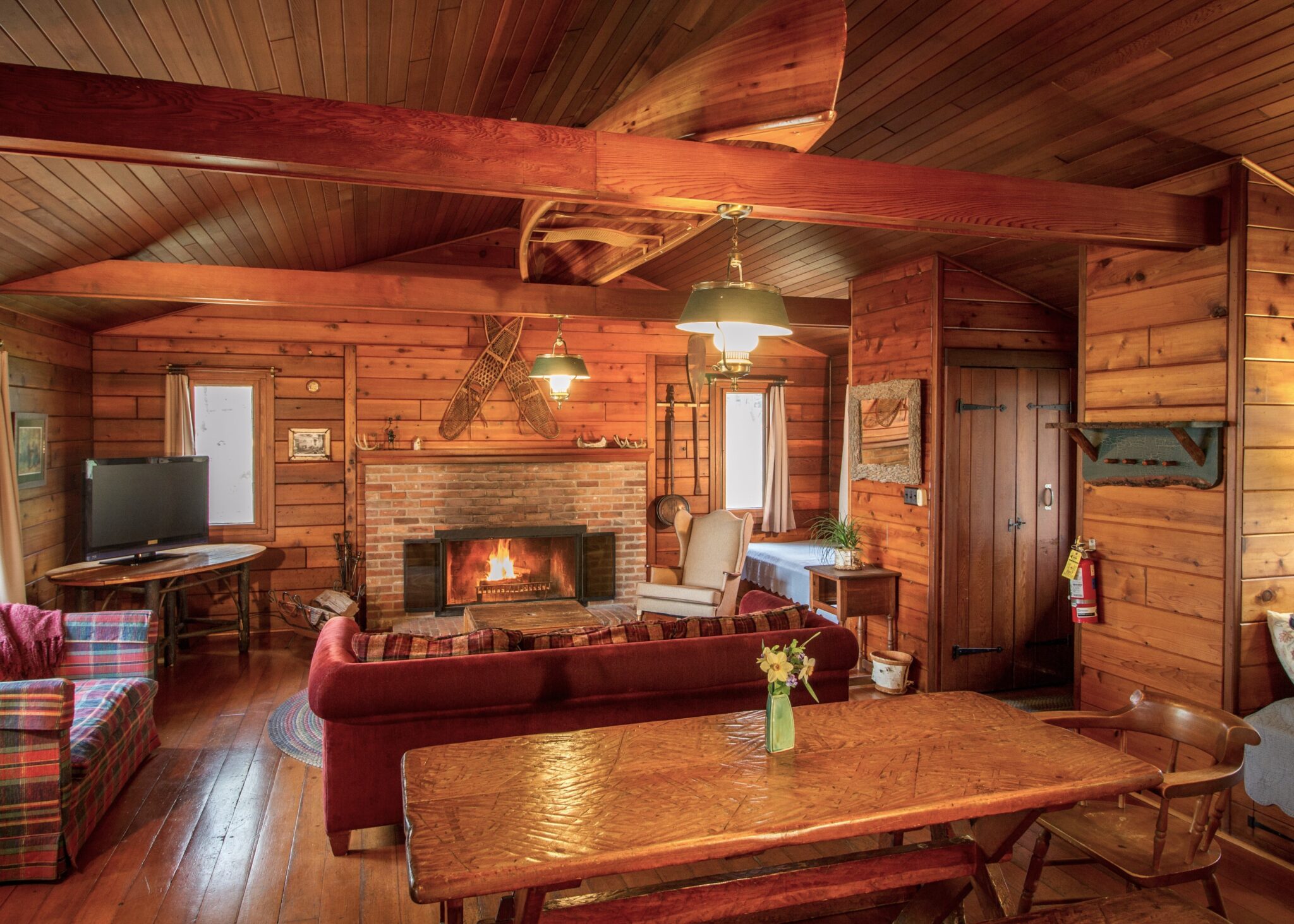 Mississippi River Migration Cabin Escape | 365 Days of Birds